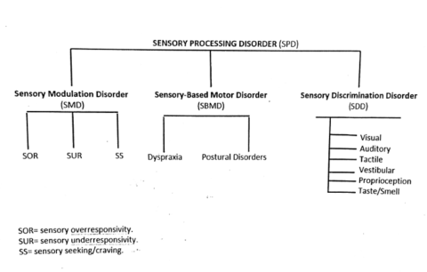 Sensory Processing: Tactile- The Sense of Feeling Touch - Children's ...