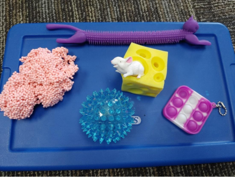 Sensory Processing: Tactile- The Sense of Feeling Touch - Children's ...